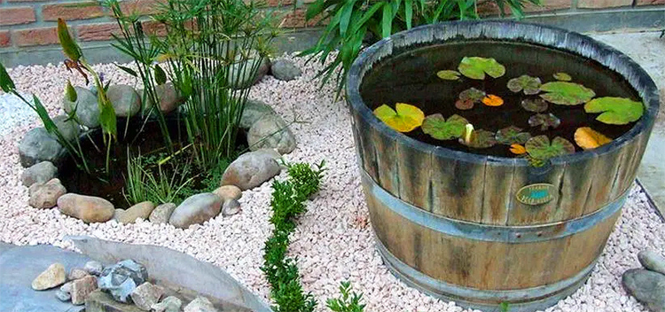 ? El jardín seco | Formación de ingenieros